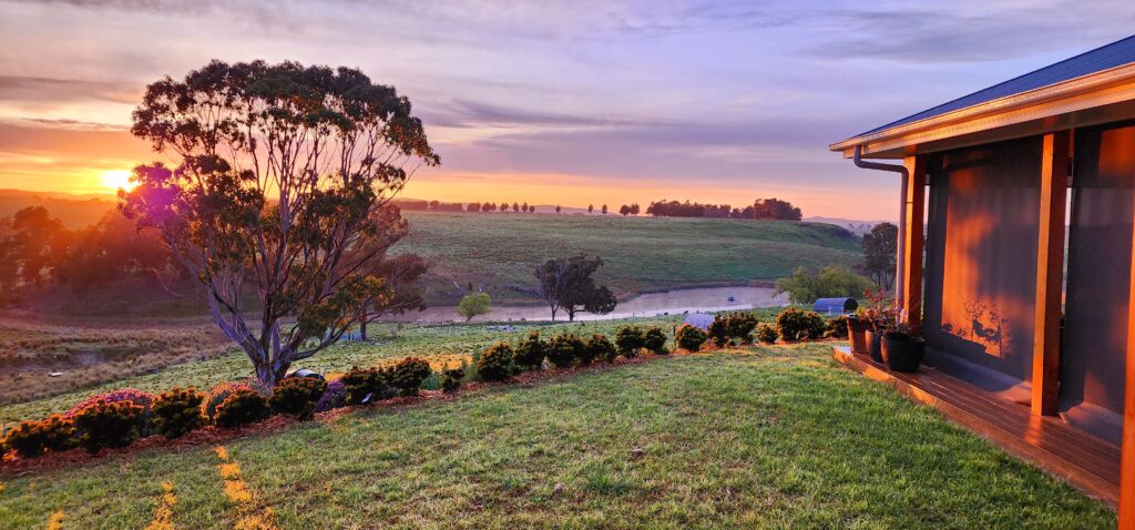 About - Tambo Farm